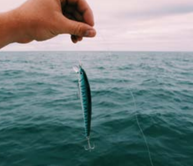 Fly Fishing | Fort George Hotel & Spa